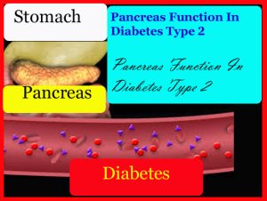 Pancreas Function In Diabetes Type 2%%